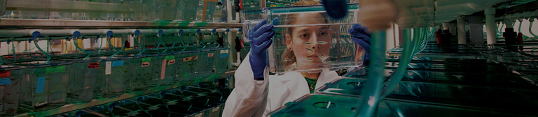 Advancing Your Research | Harvard Office of Technology Development