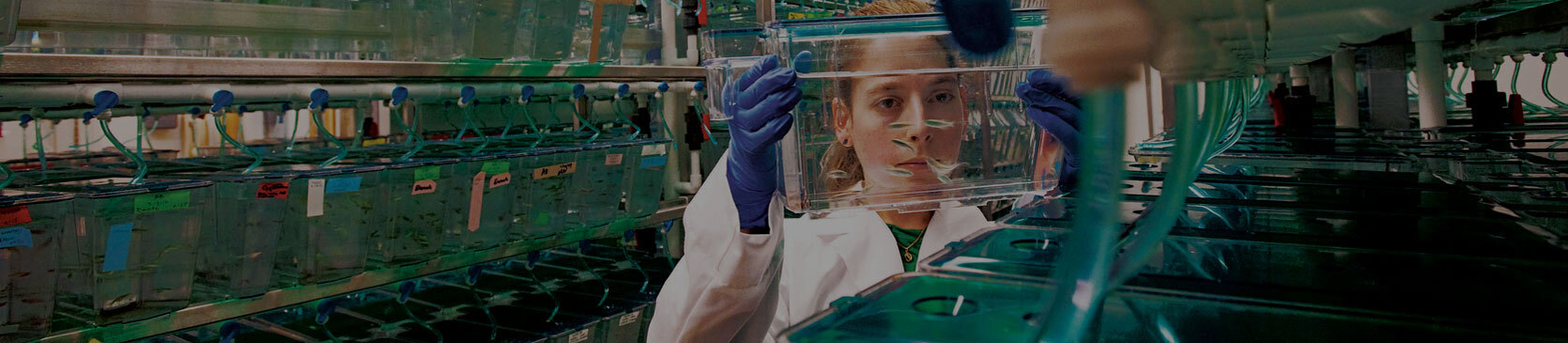 Advancing Your Research | Harvard Office of Technology Development