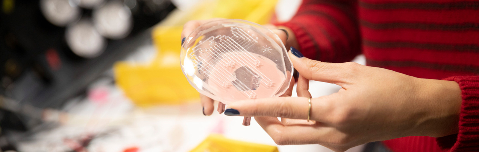 Harvard Office of Technology Development