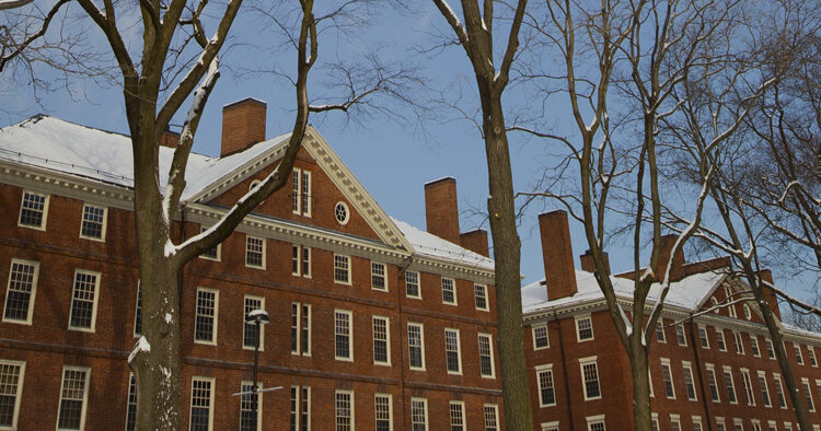 Productivity Highlights | Harvard Office of Technology Development