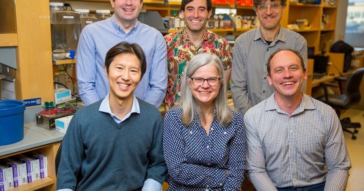 Wyss Institute’s Lab-on-a-Molecule Drug Discovery Project Receives…