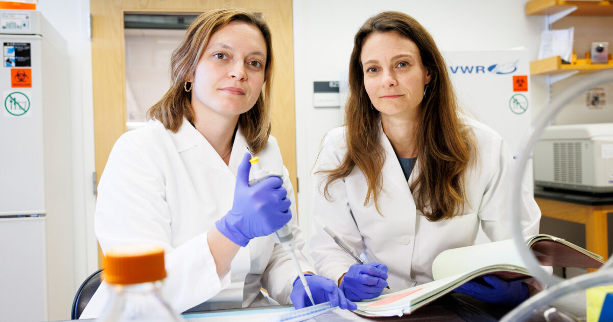 Your body fought off the virus — but damaged your lungs