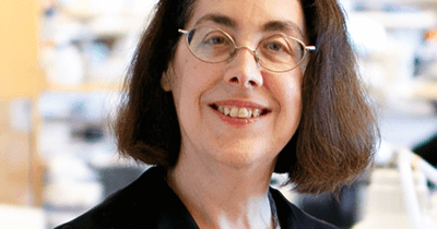 Collaboration aims to… | Harvard Office of Technology Development