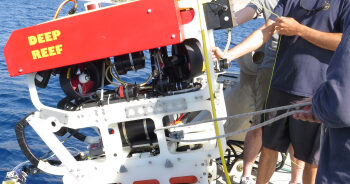 "Squishy" robot fingers… | Harvard Office of Technology Development